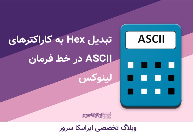  Hex ASCII 